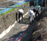 Meet D-Box: Where Awesome Begins! │ What is D･Box? │ Metry Technical Institute Co., Ltd.